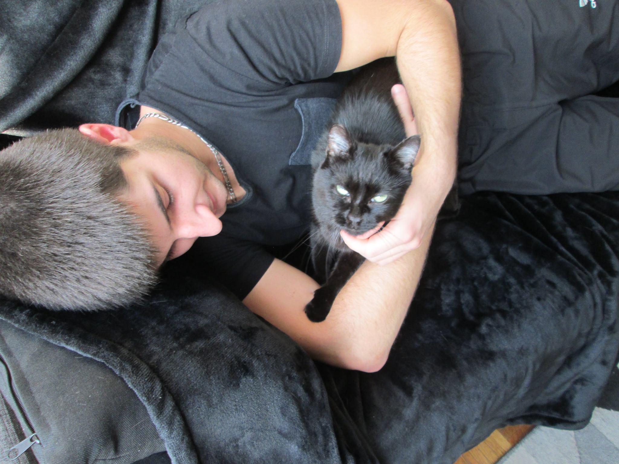 Au Chat Zen – l'Arche des Associations
