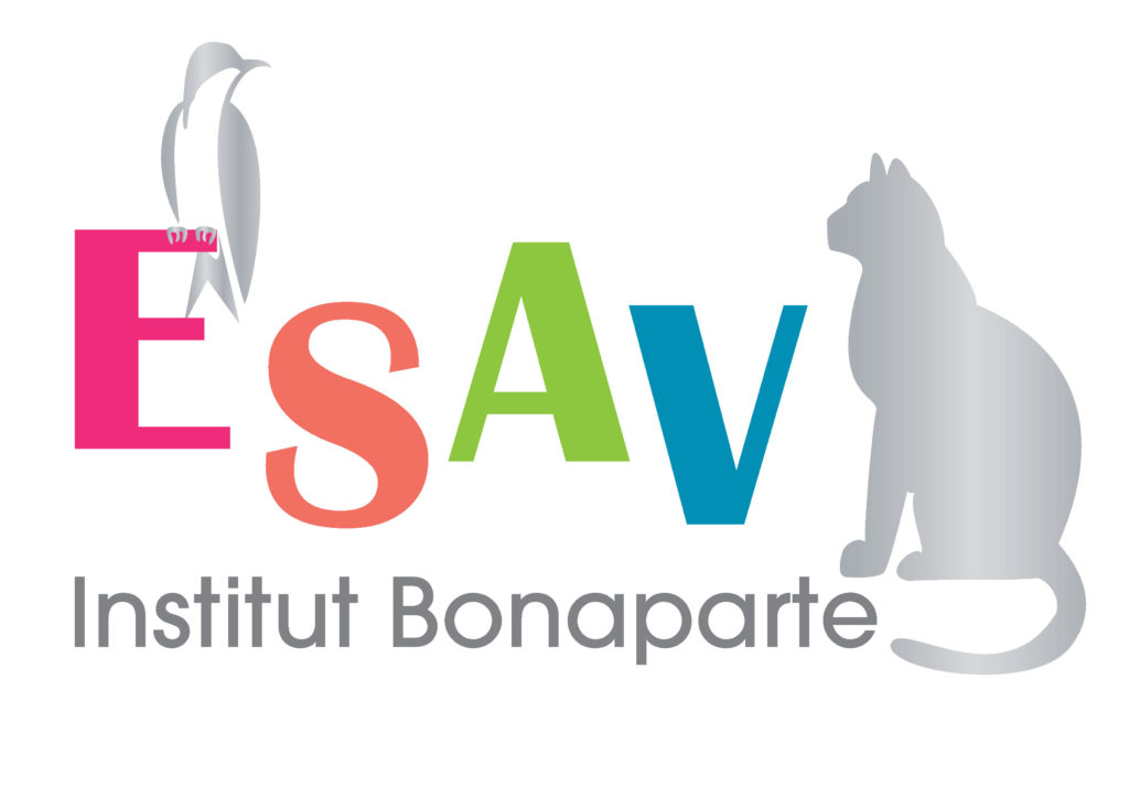 Nos partenaires – l'Arche des Associations